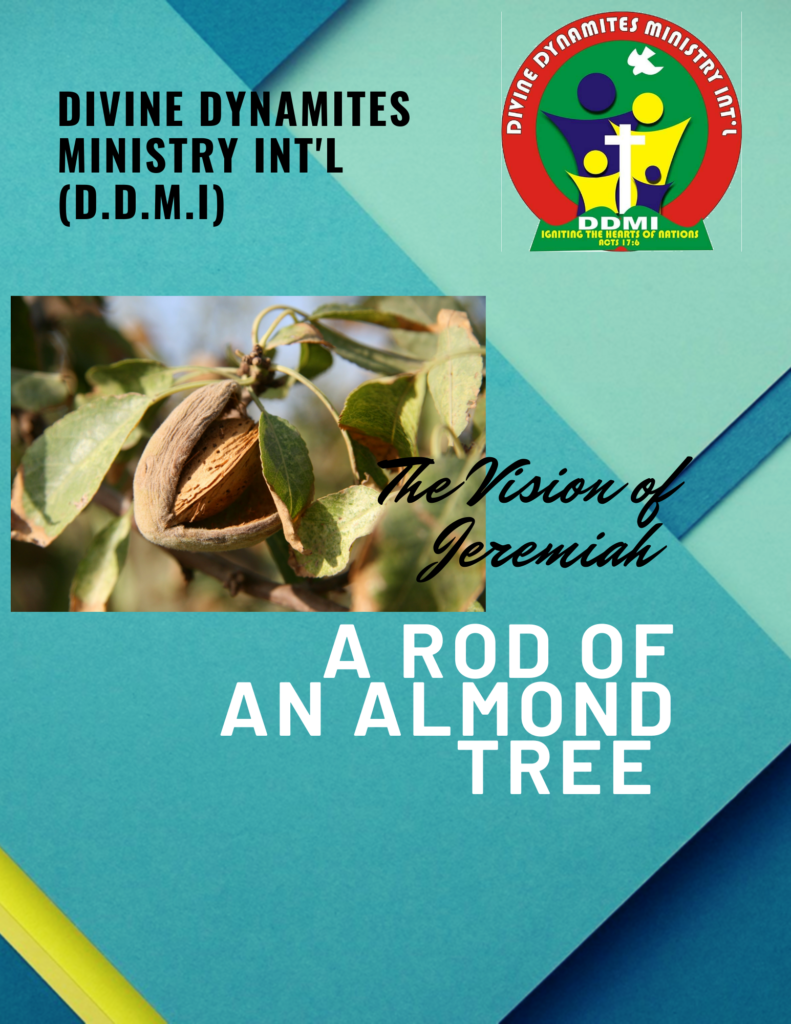 The First Vision, A Rod Of An Almond Tree - DIVINE DYNAMITES MINISTRY ...